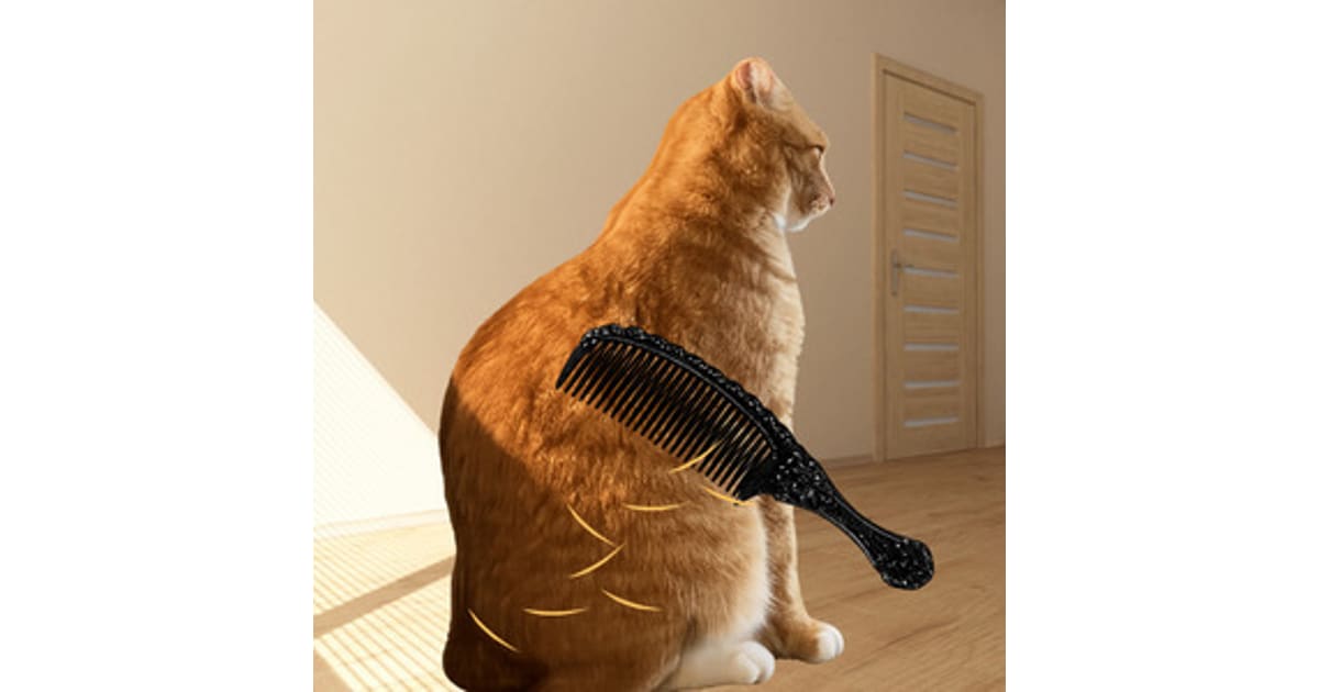 Brush Orange Cat Challenge Reflection Game Online| Mafa